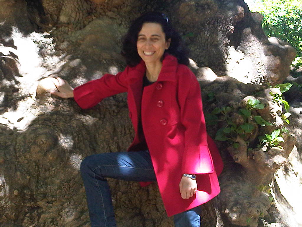 Ilidia con ulivo 2 | APT Servizi